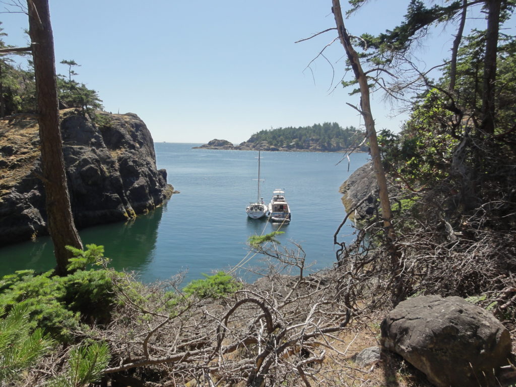 Exploring Jedediah Island, the Hidden Gem – Coastapus